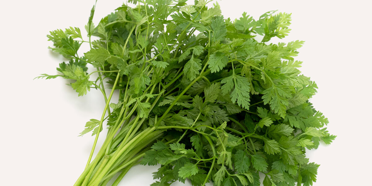 Chervil – All You Need to Know | Instacart Guide to Fresh Produce ...