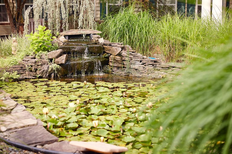 Middlebrook Crossing Senior Care Options | Brandywine Senior Living