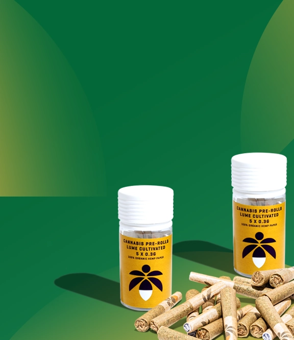 Lume Cannabis Co. - Michigan's Best Cannabis Dispensary