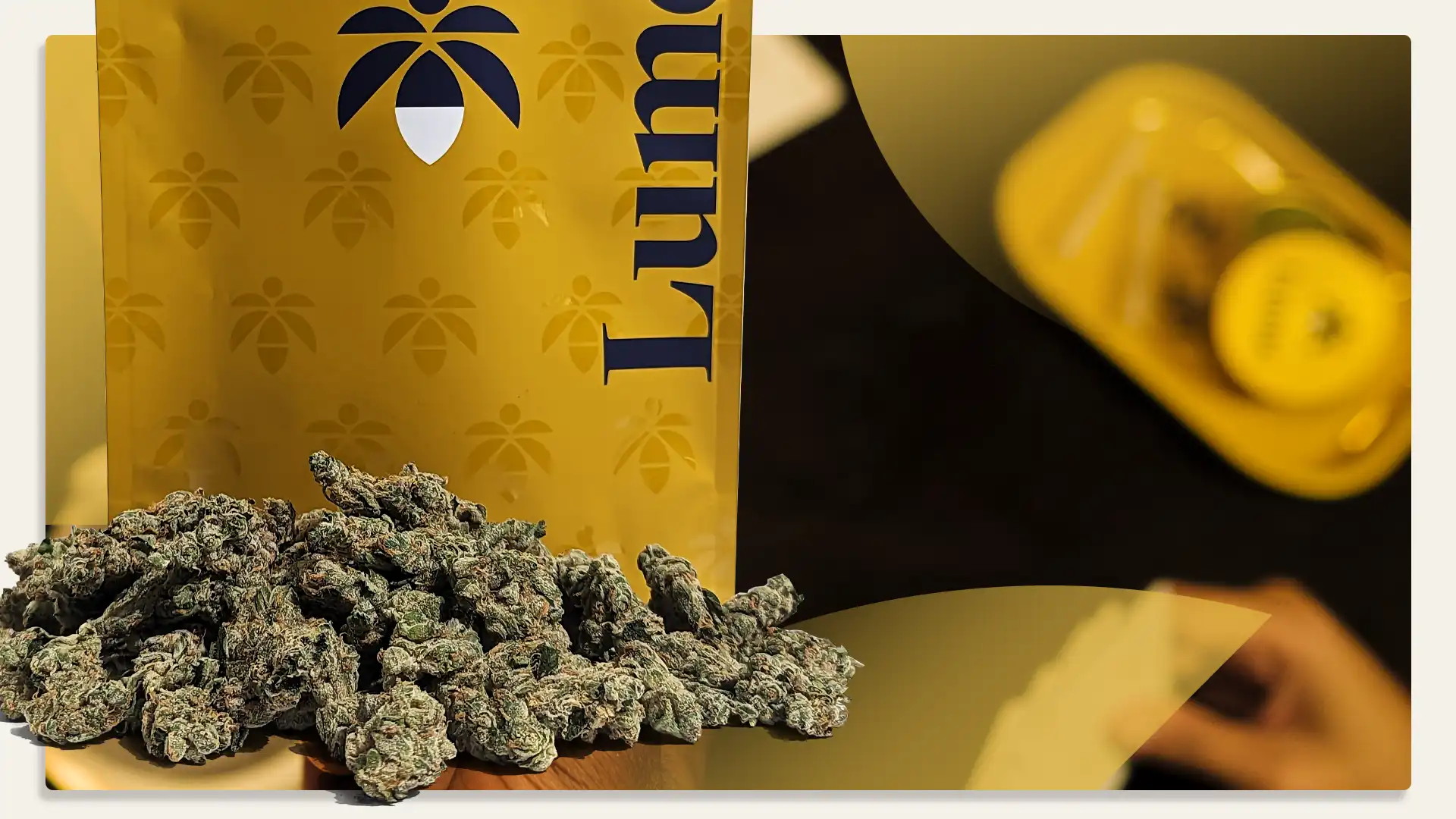Lume Cannabis Co. - Michigan's Best Cannabis Dispensary