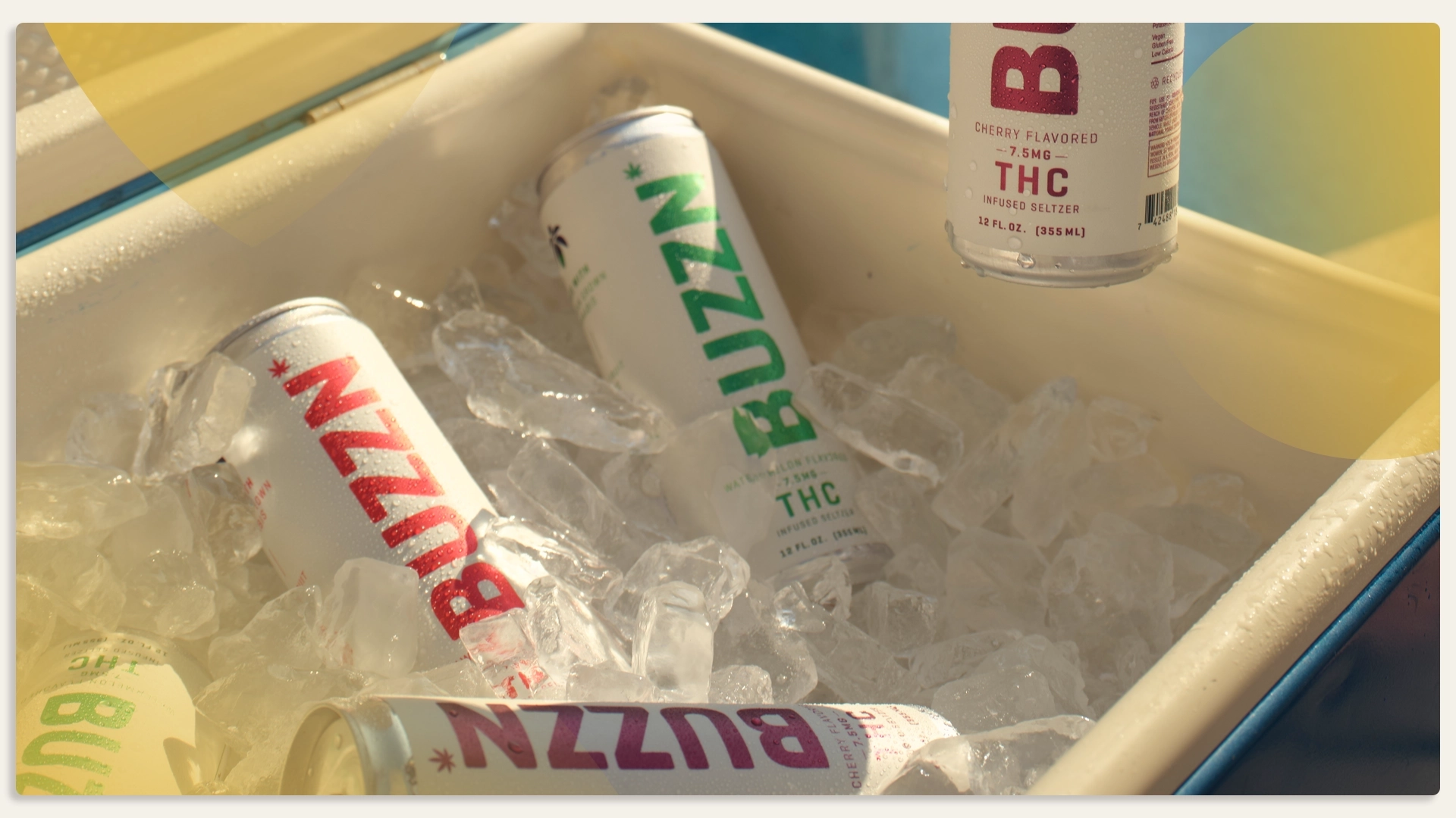 Lume Cannabis Co. - Michigan's Best Cannabis Dispensary