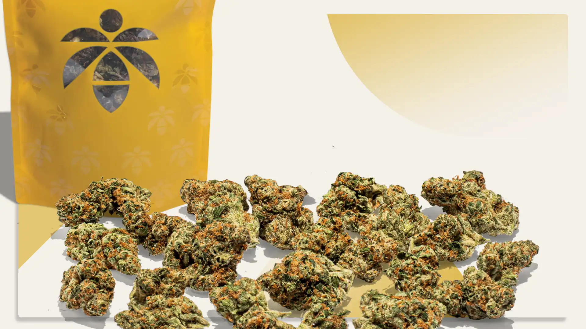 Lume Cannabis Co. - Michigan's Best Cannabis Dispensary