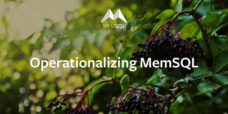 Operationalizing SingleStore