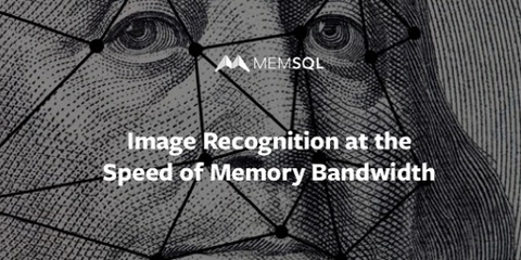Image Recognition at the Speed of Memory Bandwidth