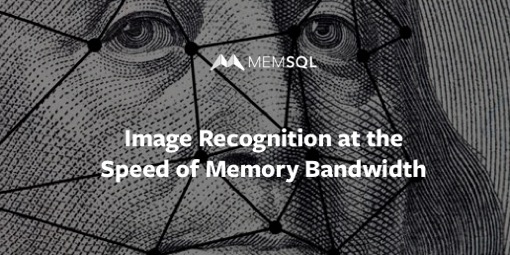 Image Recognition at the Speed of Memory Bandwidth