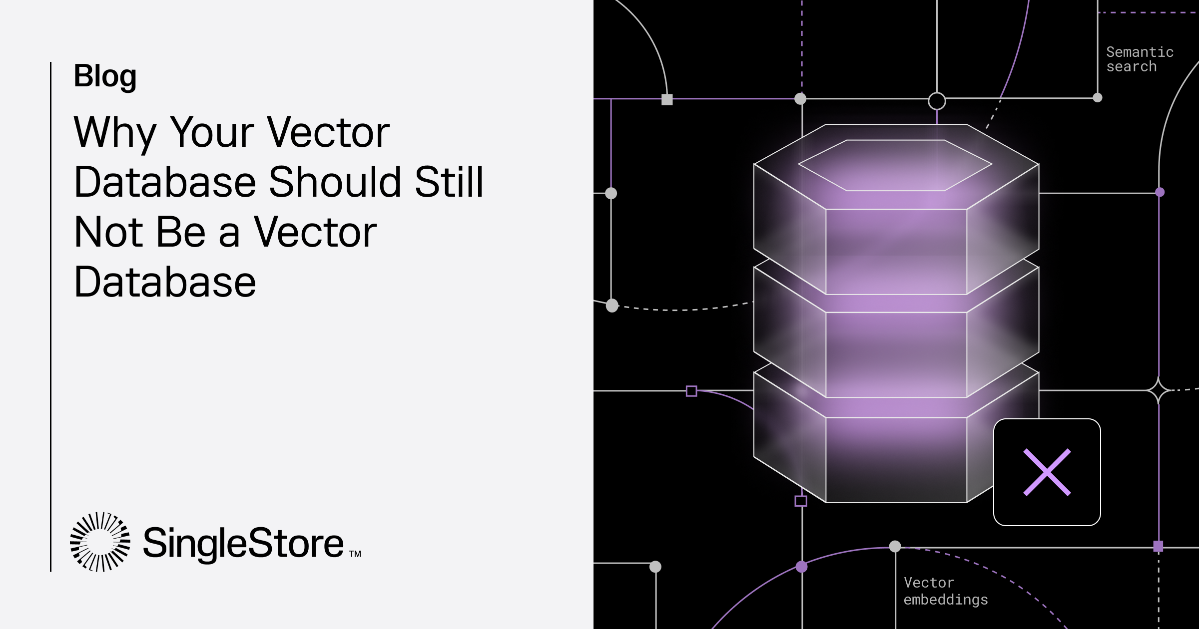 Why Your Vector Database Should Still Not be a Vector Database