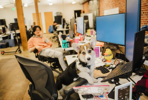 It’s Official: SingleStore Is Named Among Best Places to Work 2023 by ...