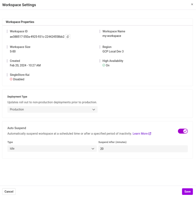 Workspace Auto Suspend