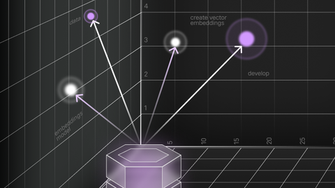 A Beginner’s Guide to Vector Embeddings