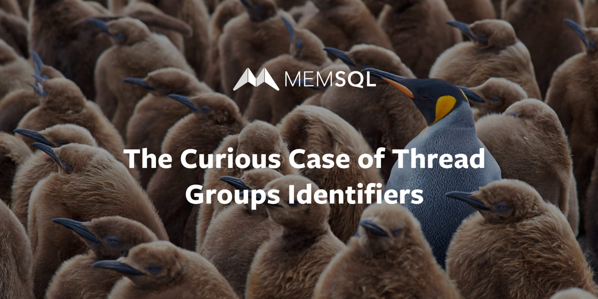 The Curious Case of Thread Group Identifiers
