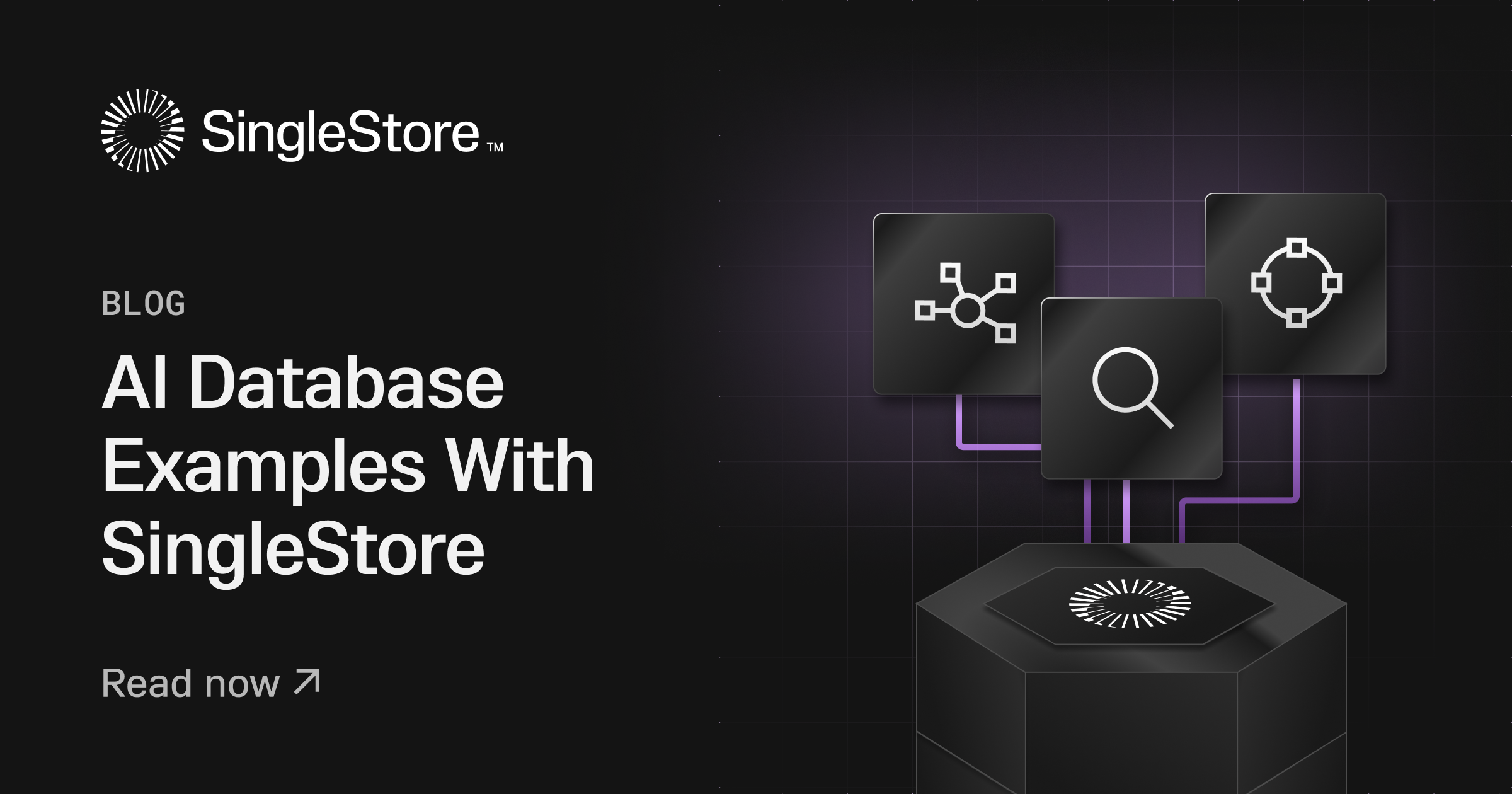 AI Database Examples: Vector Search, Recommendations & LLM Workflows with SingleStore
