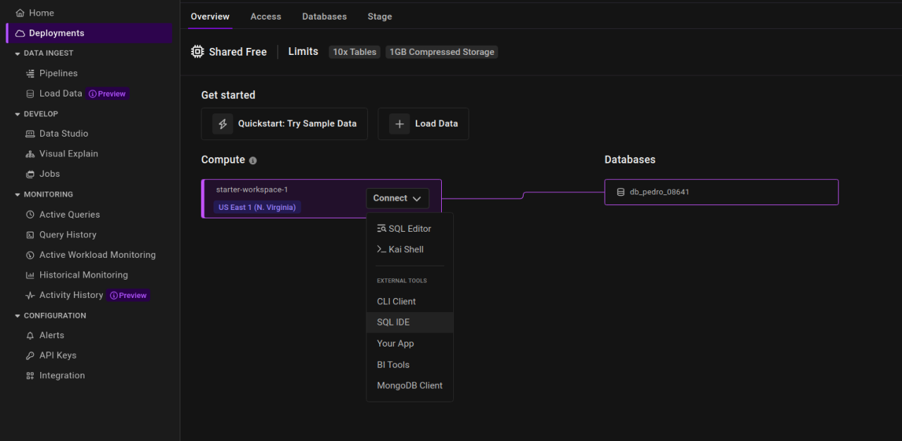 Simplifying SingleStore Integration Through Drizzle ORM
