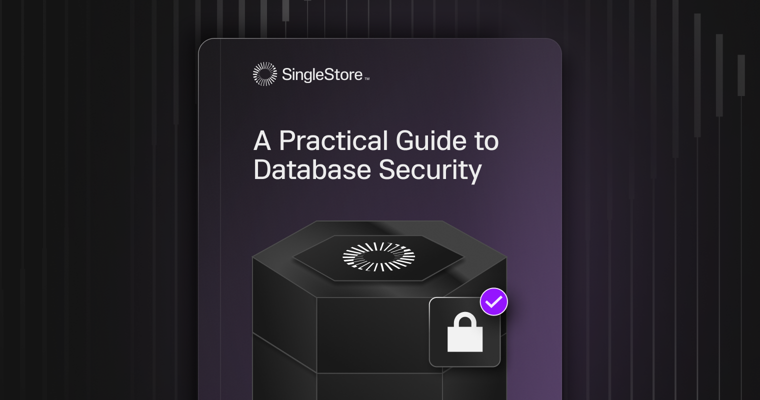 A Practical Guide to Database Security for Enterprises