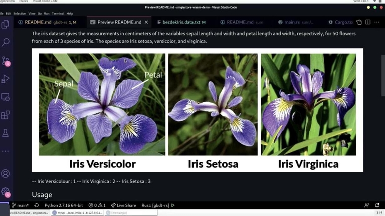 Live WASM Demo from SingleStore’s Launch Pad!