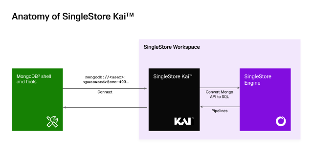 Introducing the General Availability of SingleStore Kai™ | Build Real-Time Apps With SingleStore