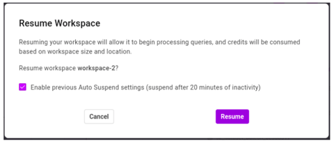 Workspace Auto Suspend