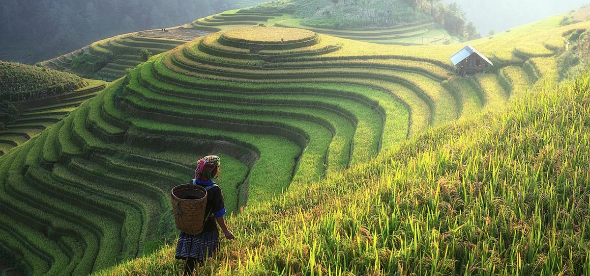 Chinese cuisine: 79 iconic Chinese dishes you need to try