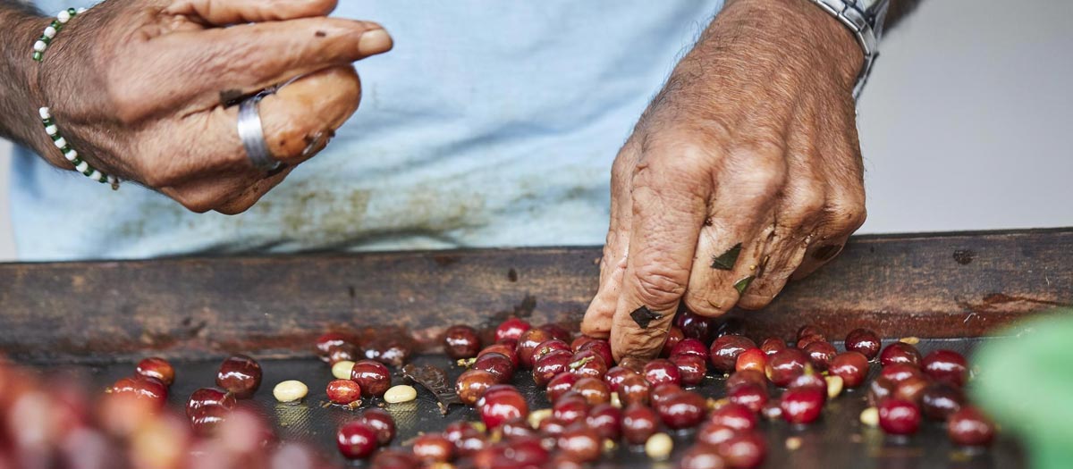 Colombian culture: A guide to traditions, history, customs & more