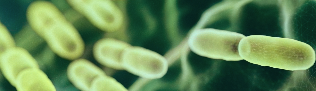 Irritable Bowel Syndrome (IBS): An evidence-based guide to treatment ...