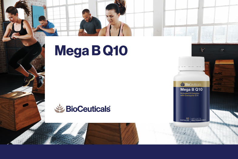 Mega B Q10 micro-course