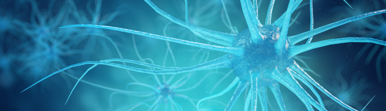 BioCeuticals Clinical stress, anxiety & fatigue dosage chart