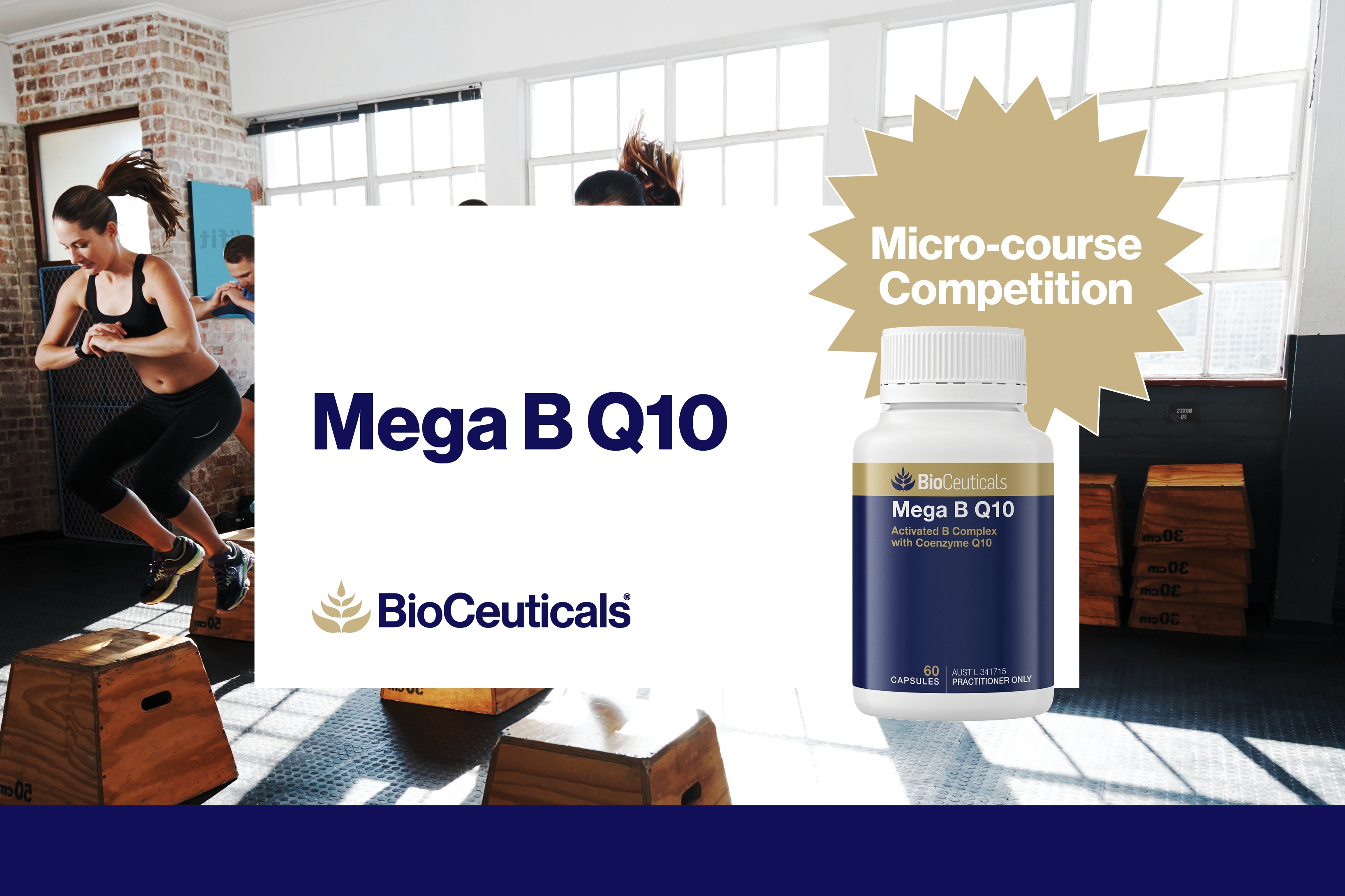 Mega B Q10 micro-course