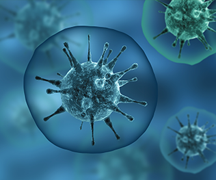 What is Wellmune® and How it Works | BioCeuticals