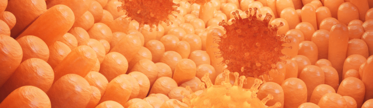 BioCeuticals Clinical digestive health range dosage chart