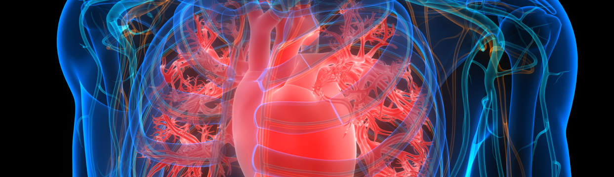 Chronic Pain and Inflammation Education Guide | BioCeuticals