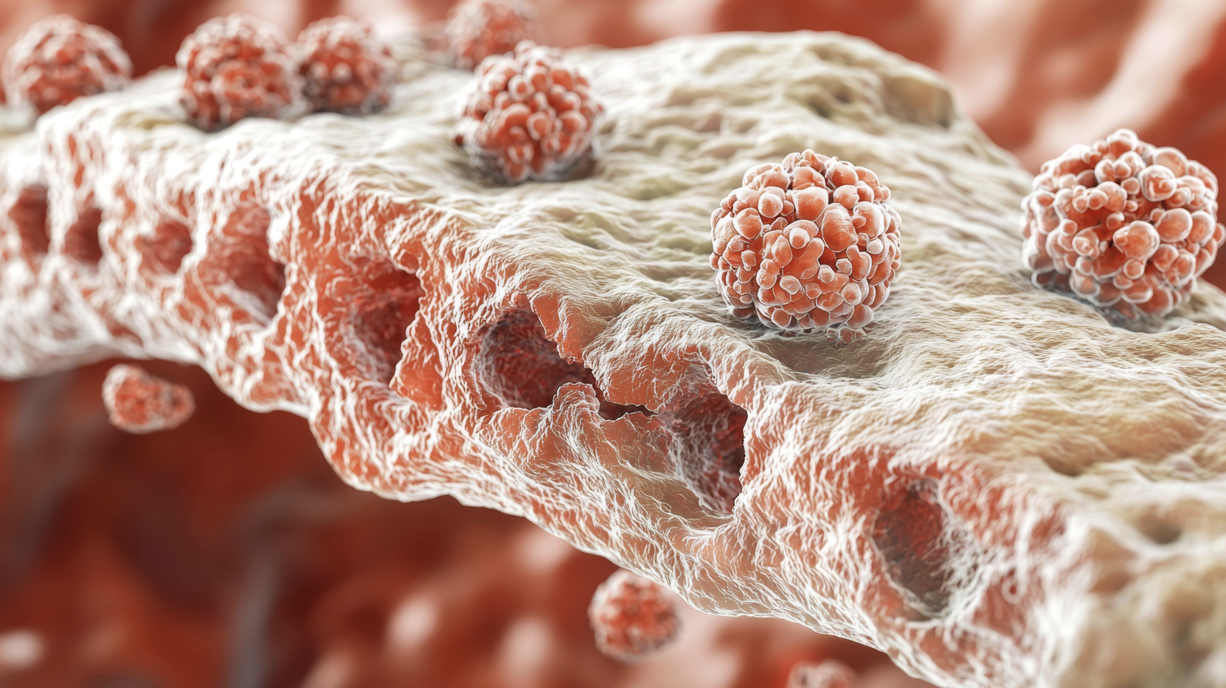 Arterial health, endothelial dysfunction and inflammation: Integrative ...