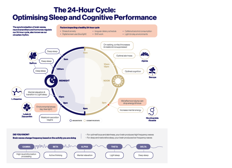 24-hour cycle: Optimsing sleep and cognitive performance | BioCeuticals