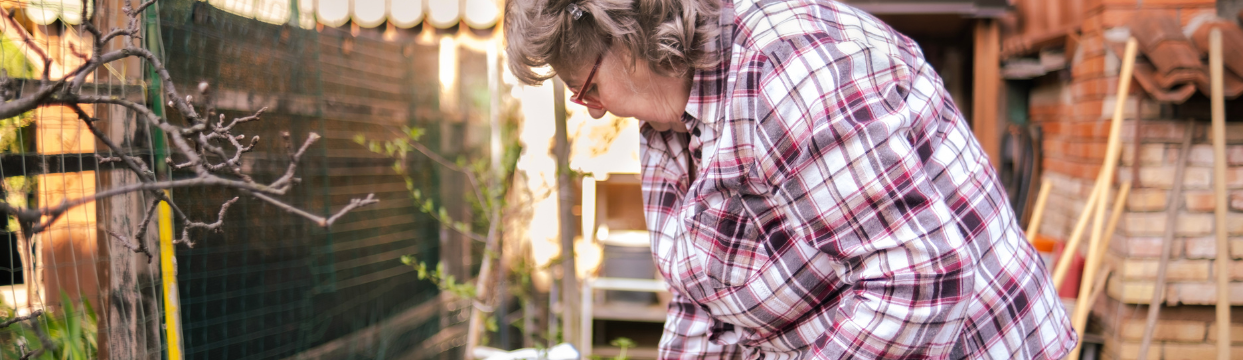 The Microbiome: Impacts of Soil Quality | BioCeuticals