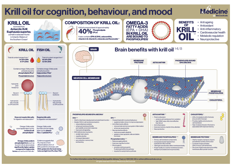 Brain Food: Krill Oil for Cognition, Behaviour and Mood | BioCeuticals ...