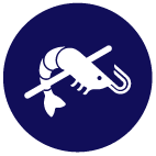 ChondroPlex® for Muscle & Joint Support. | | BioCeuticals