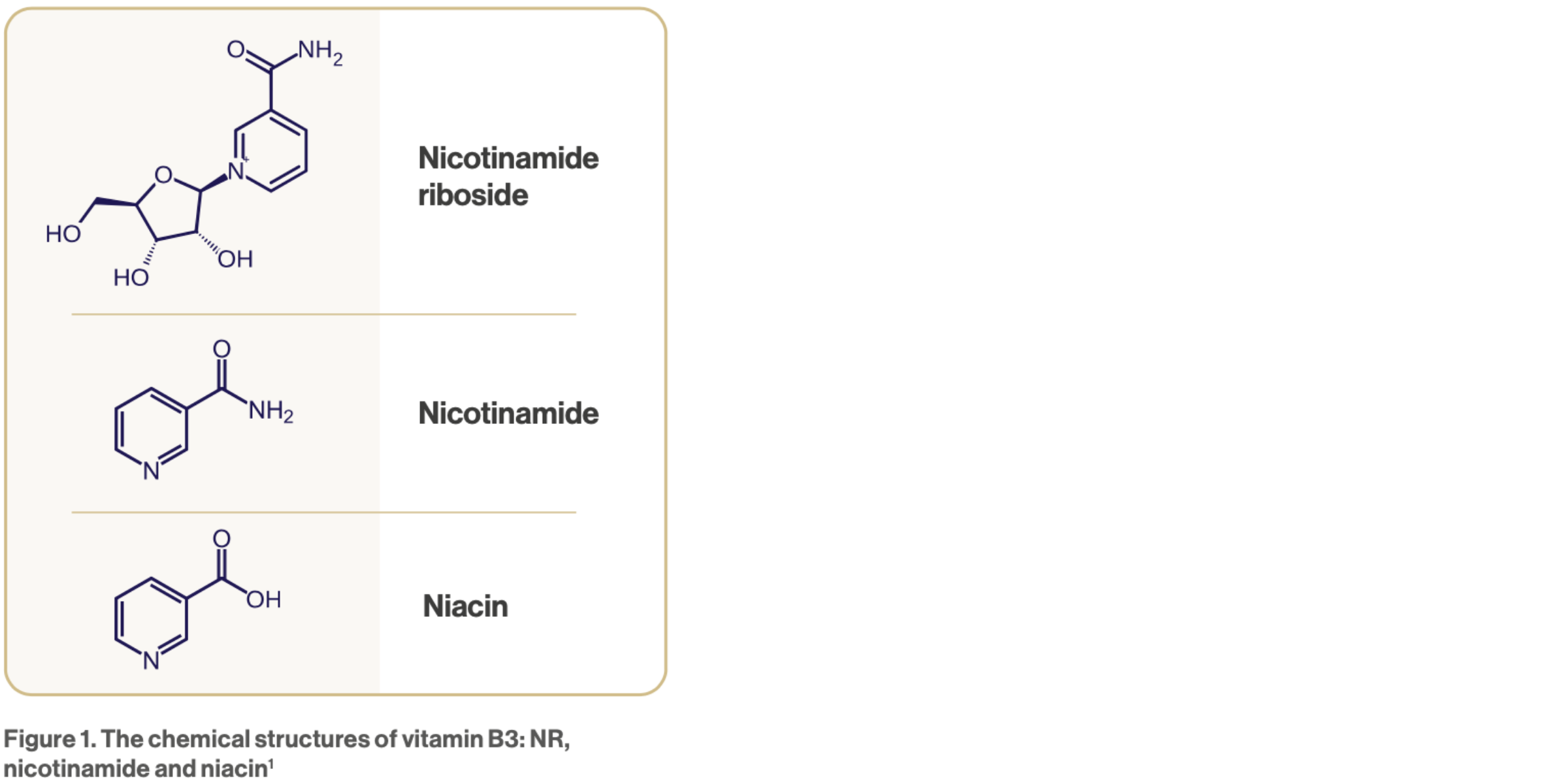 Nicotinamide Riboside: Understanding clinical applications