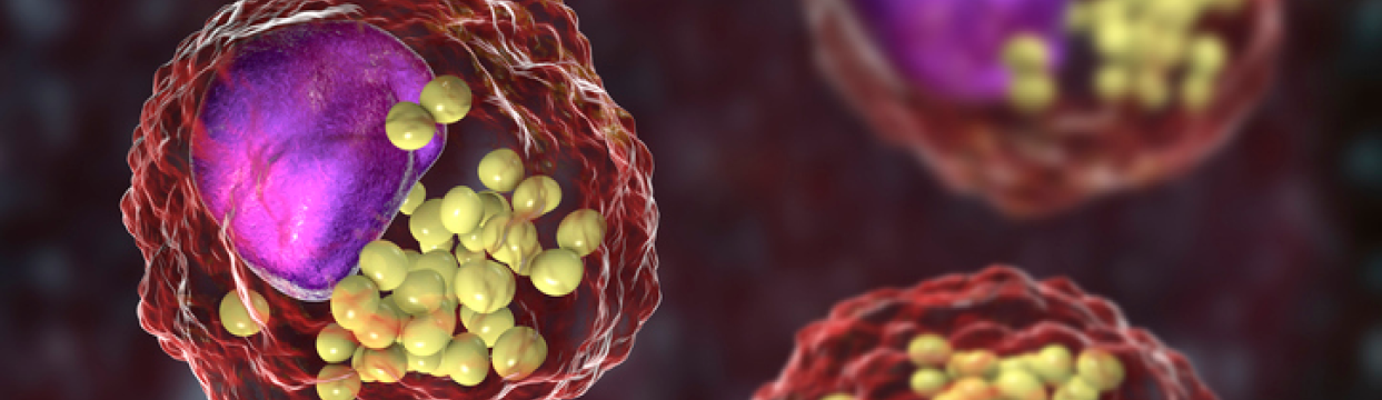 BioCeuticals Clinical pain & inflammation dosage chart