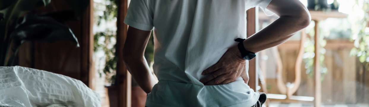 Guide to PEA for Chronic Pain & Inflammation | BioCeuticals