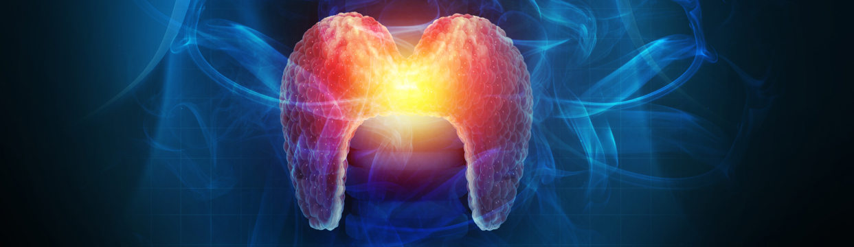 Supporting thyroid health with vitamins