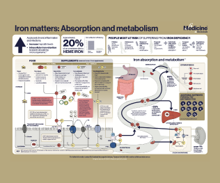 Webinars, Podcasts & Education Articles | fx Medicine by BioCeuticals