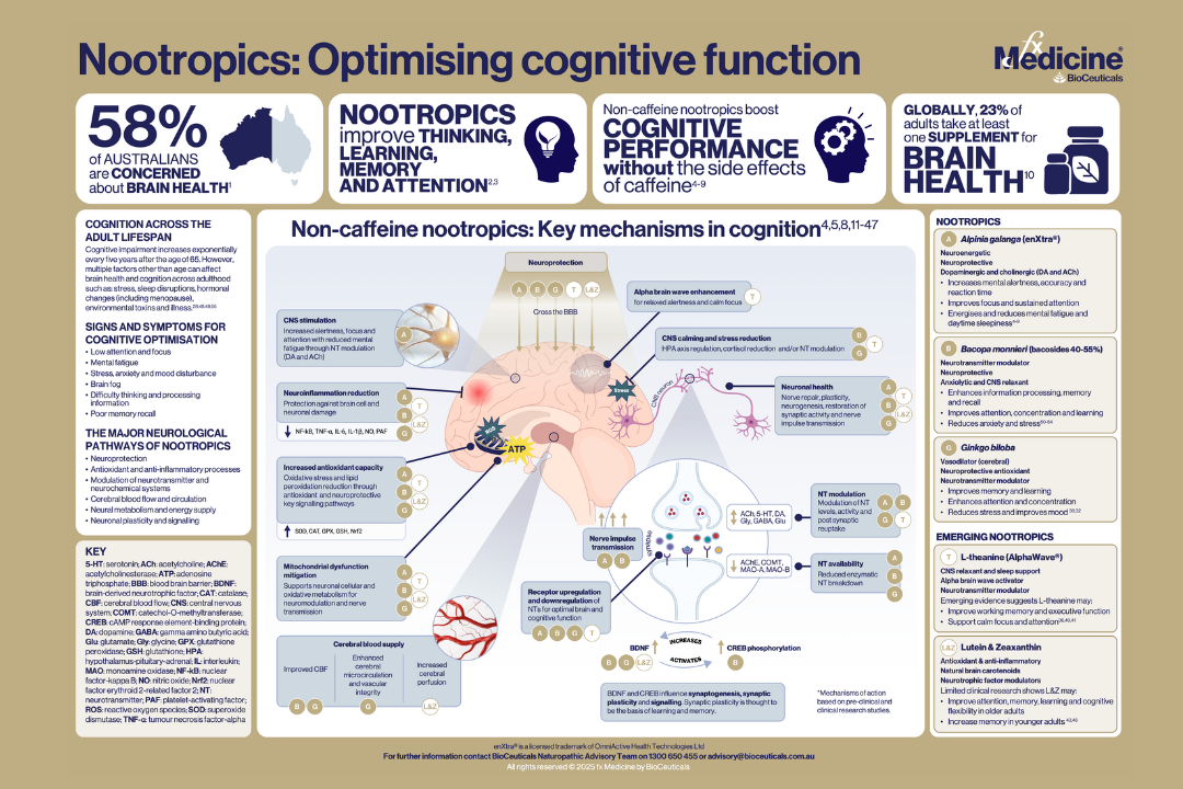 Nootropics: Optimising cognitive function | BioCeuticals