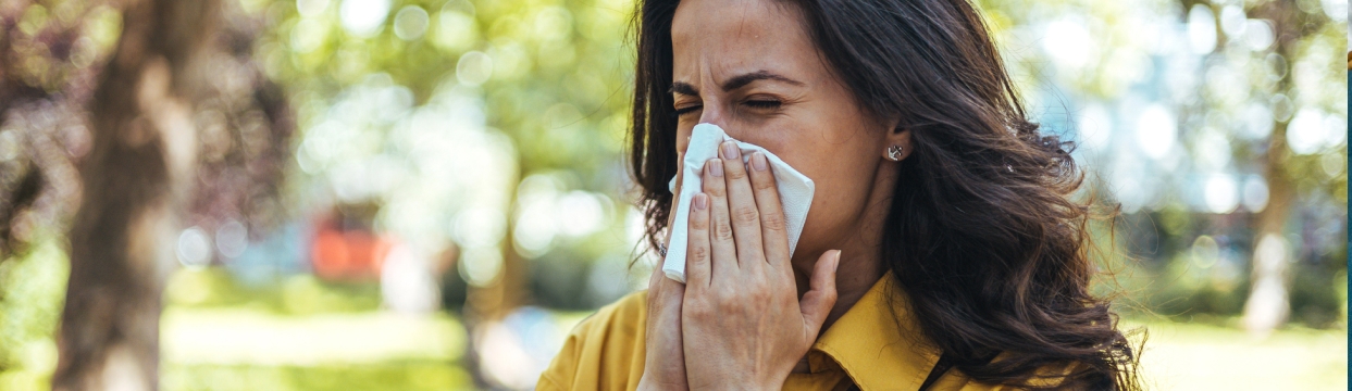 Mild allergy relief and immune support: targeting hyperactive responses