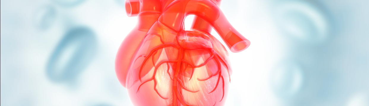 BioCeuticals Clinical cardiometabolic health quick prescribing guide