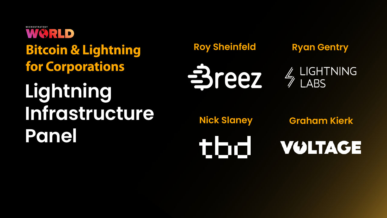 Lightning Infrastructure Panel