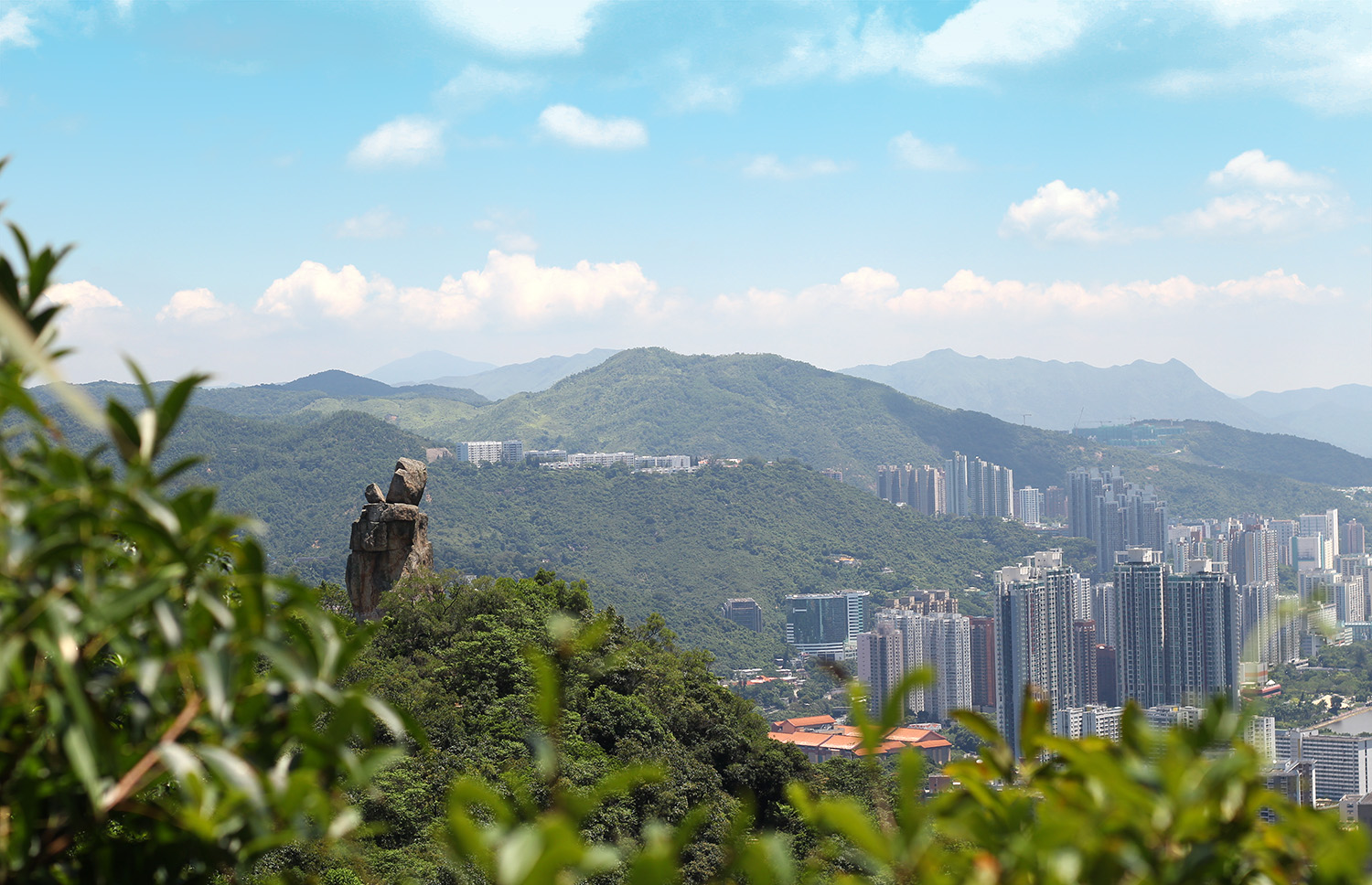 The Wai | The Wai Story