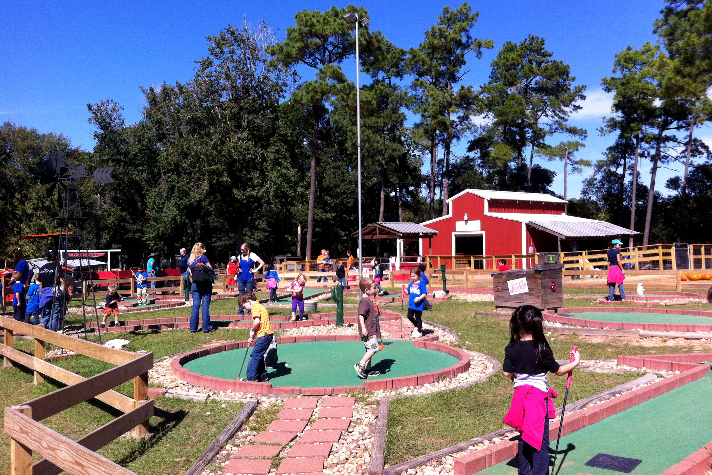 7 Best Things to Do in Conroe, Texas | Holidayinnclub.com