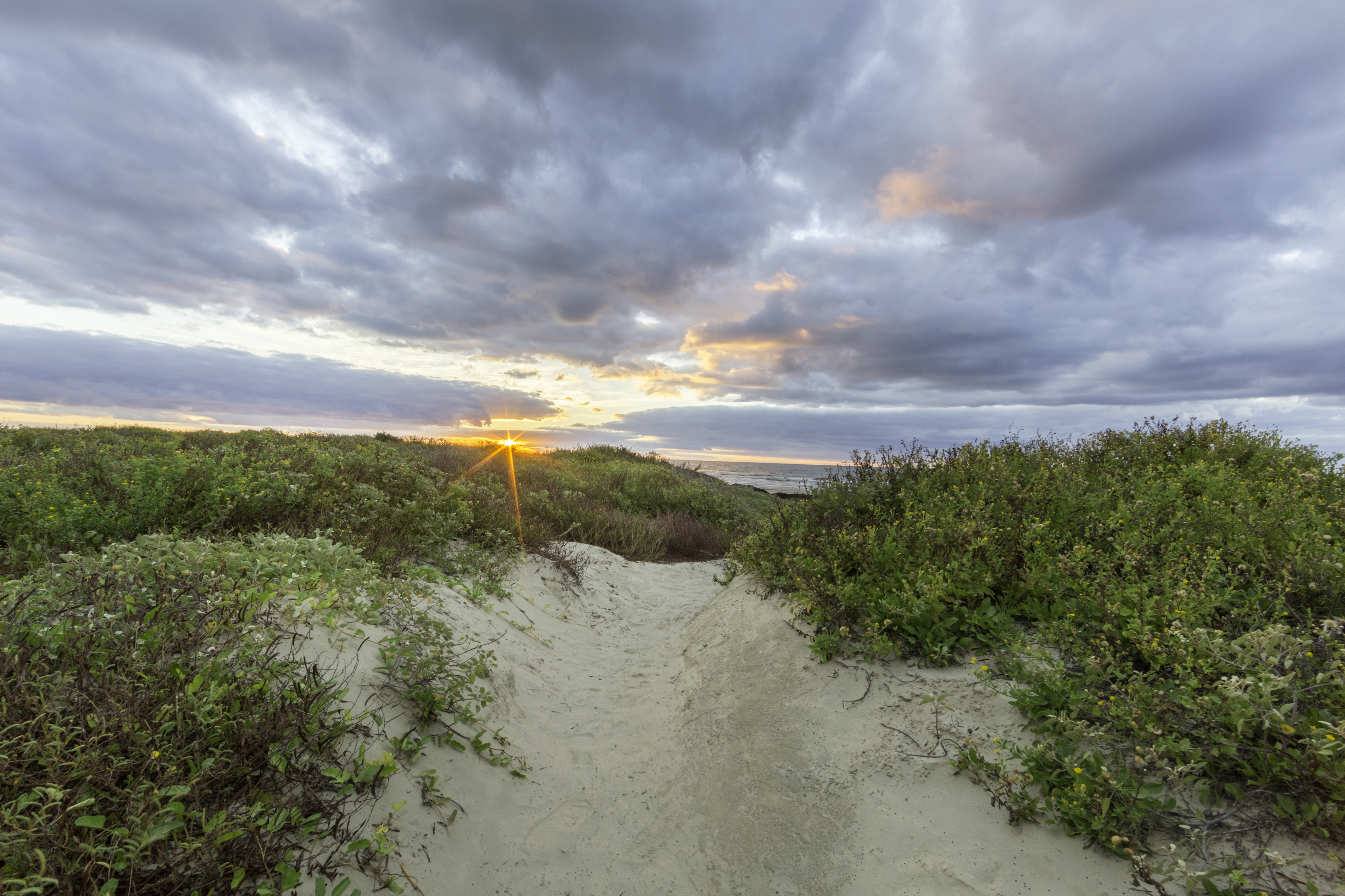 Local Things to Do Near Galveston Beach Resort | Holidayinnclub.com