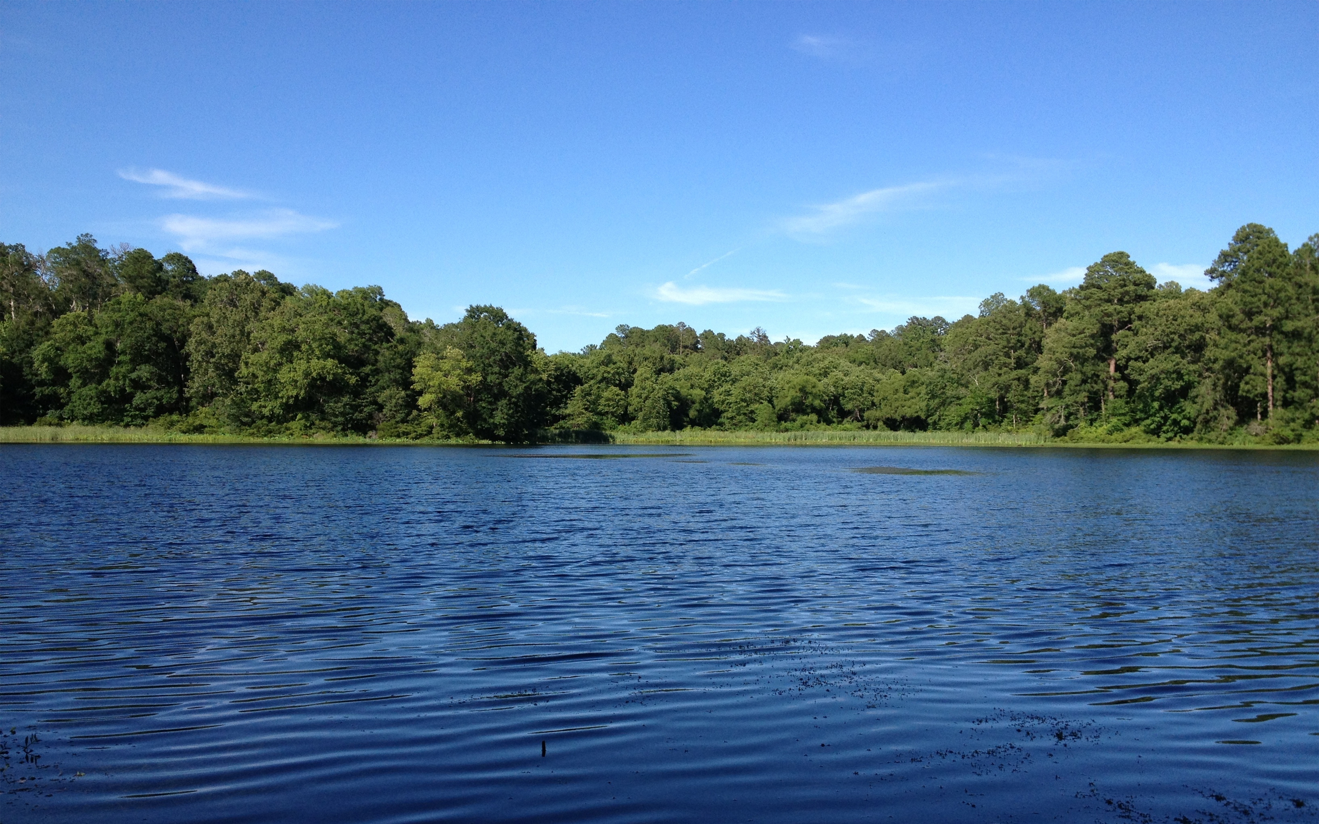 Villages Resort at Lake Palestine Deal | HolidayInnClub.com