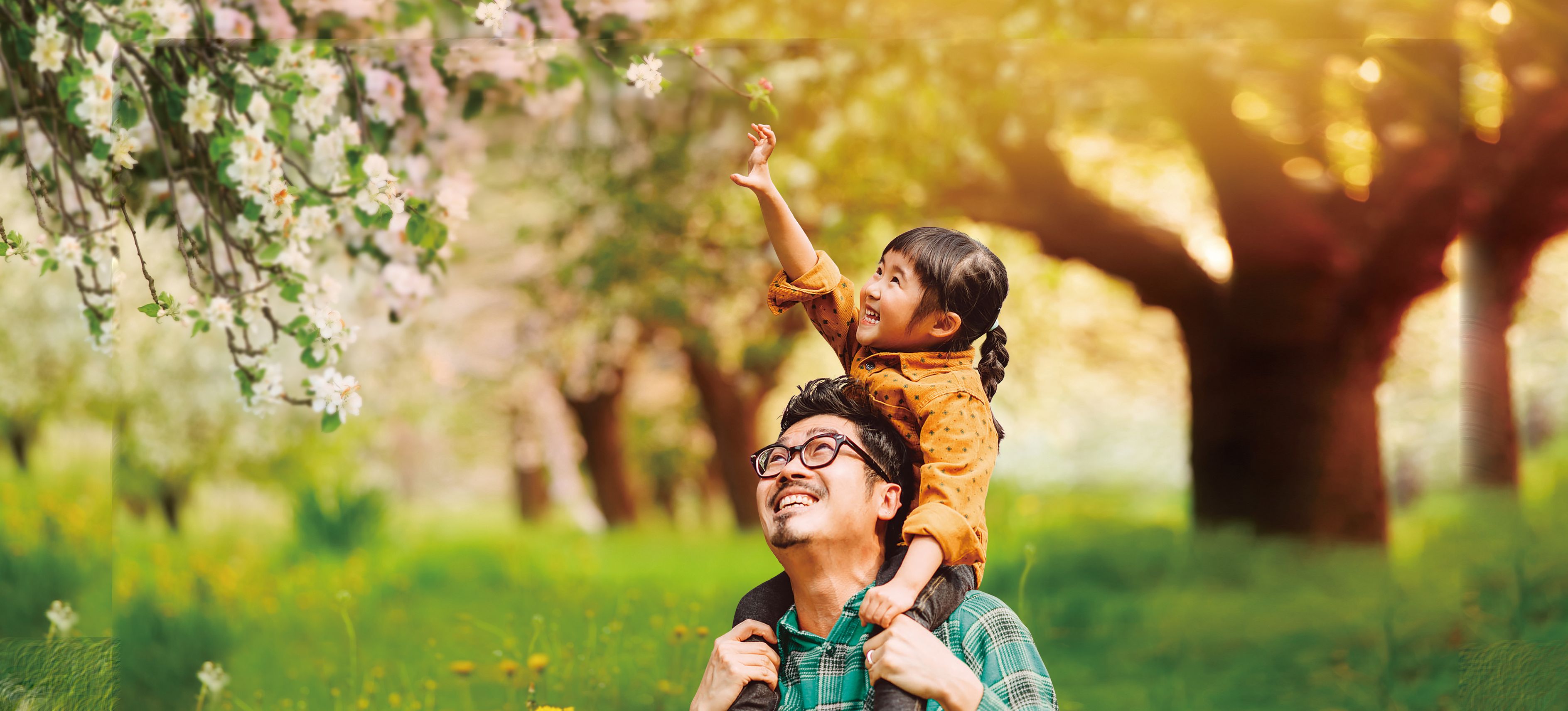 50% off for 1st Year Premium