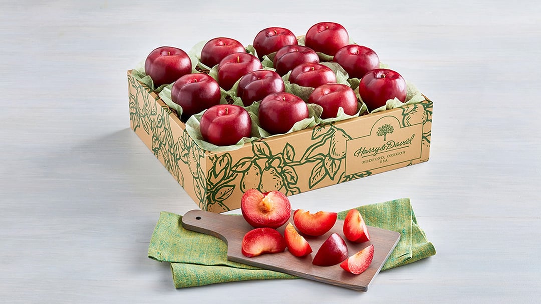 10 Facts About Plums | The Table by Harry & David