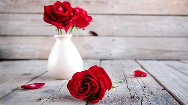 Meaning of Red Roses | Petal Talk
